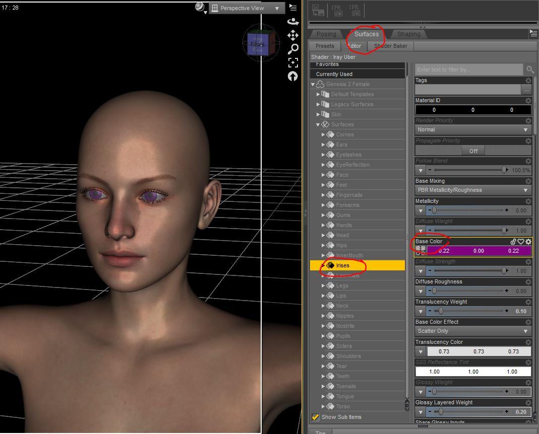 Rendering & custom objects. - Daz 3D Forums
