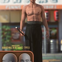 Head Shapes Male for Hanako 9 | Daz 3D