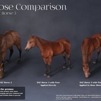 Bone Minion for DAZ Horse 2 Poses | Daz 3D