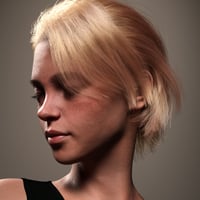 dForce FE Strand-Based Half Bun Hair for Genesis 9 | Daz 3D
