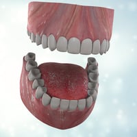 The Ultimate Merchant Resource Skin Texture Kit for Teen Josie 6 | Daz 3D