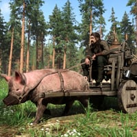 Pig Cart | Daz 3D