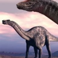 Dicraeosaurus | Daz 3D