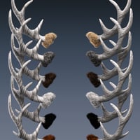 Antlers for Genesis 8 and 8.1 Males | Daz 3D