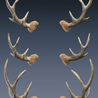 Antlers for Genesis 8 and 8.1 Males | Daz 3D