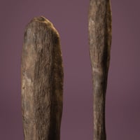 BW Primitive Weapons Set 02 for Genesis 8 and 8.1 | Daz 3D