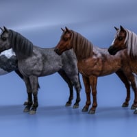 LoREZ Horse 2 Textures | Daz 3D