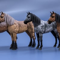 LoREZ Horse 2 Textures | Daz 3D