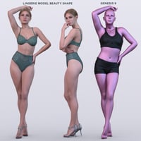 Z Lingerie Model Shape and Pose Mega Set for Genesis 9 | Daz 3D
