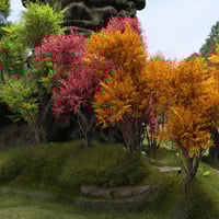 Tree Tower | Daz 3D