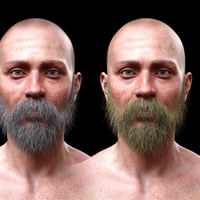 M3D Facial Hair Set for Genesis 9 | Daz 3D