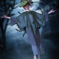 dForce Wicked Witch Outfit For Genesis 9 | Daz 3D