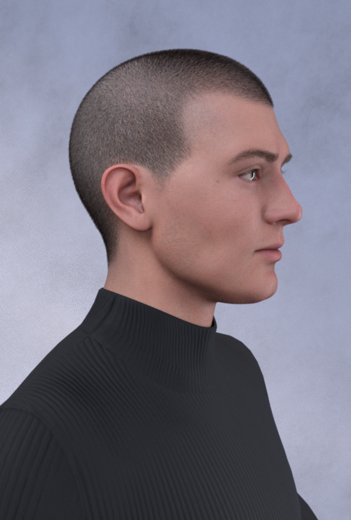 AOBB's freebie male head morph Marc G9. No materials nor textures. - Daz 3D Forums