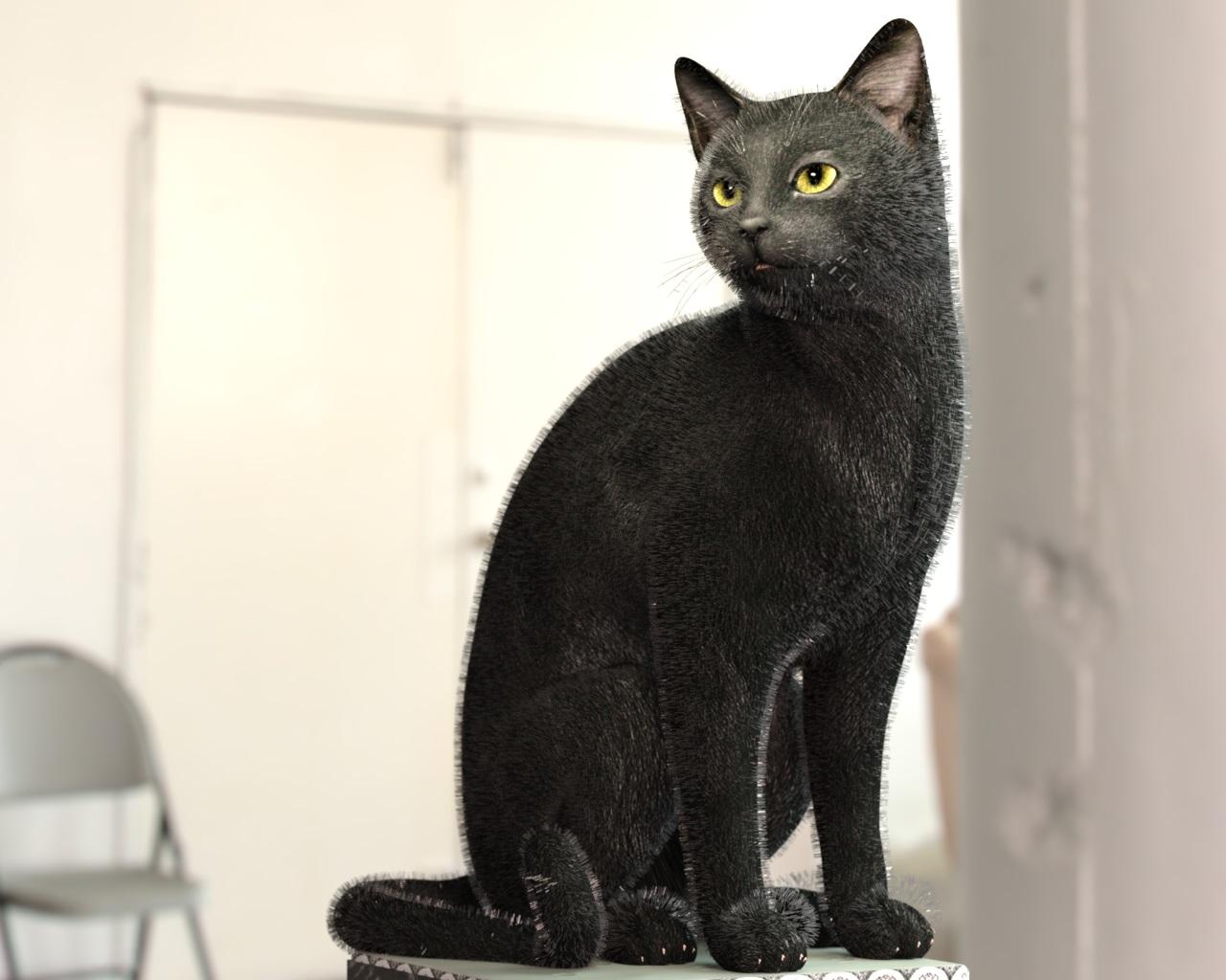 Millennium Cat - Daz 3D Forums