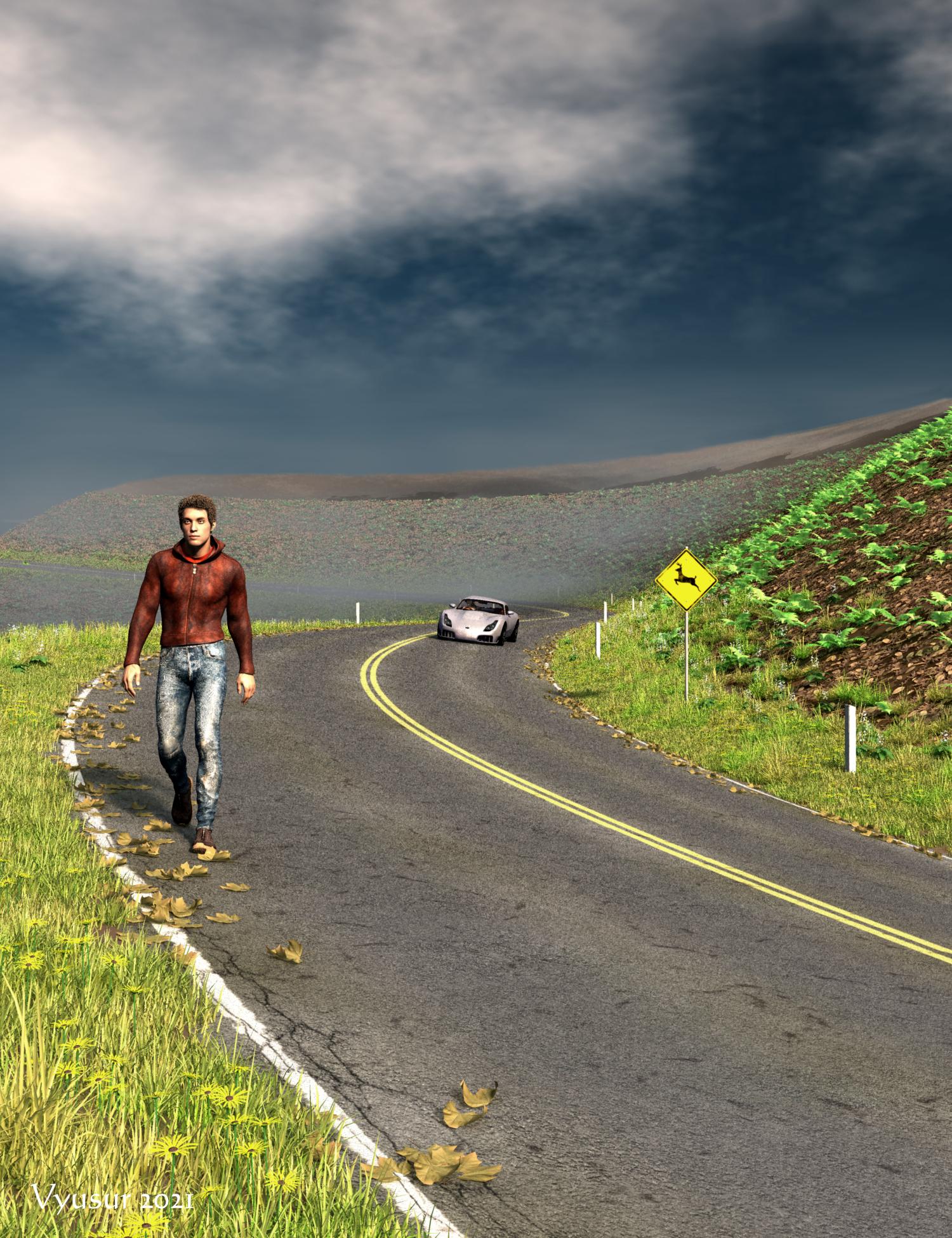 Standalone into Carrara - Daz 3D Forums