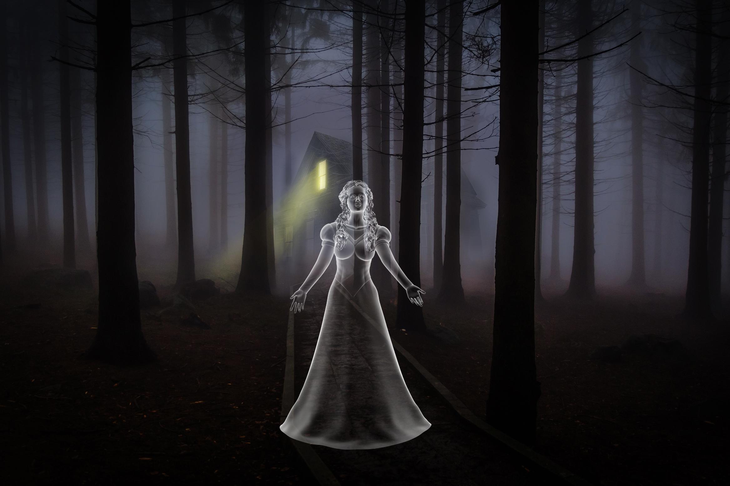 How did they make these ghosts? - Daz 3D Forums