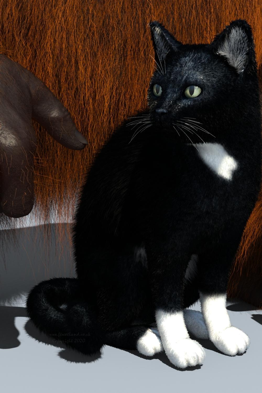 New Daz House Cat with dForce Hair? - Page 2 - Daz 3D Forums