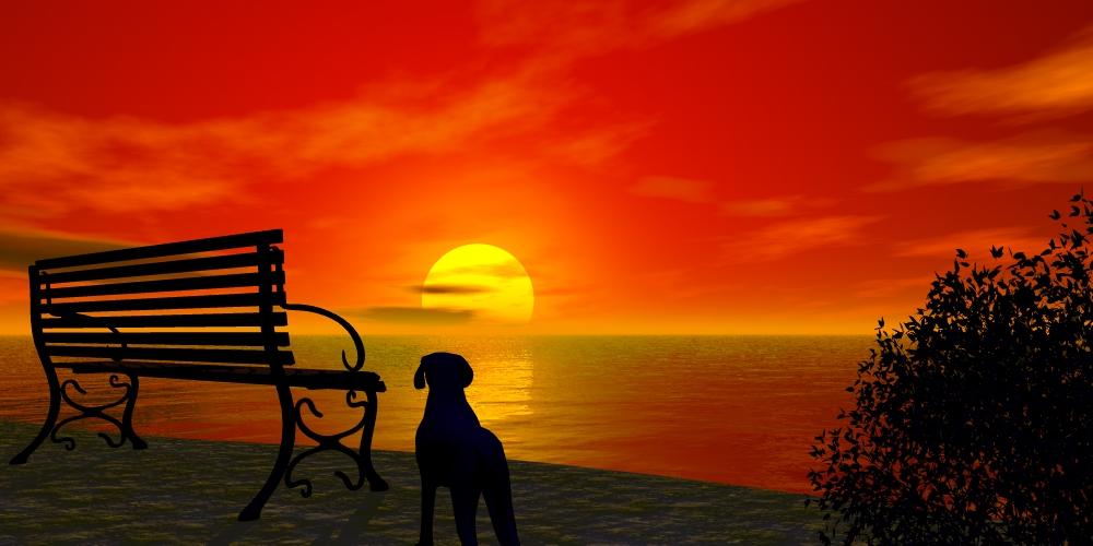 Show Us Your Bryce Renders! Part 9 - Page 99 - Daz 3D Forums