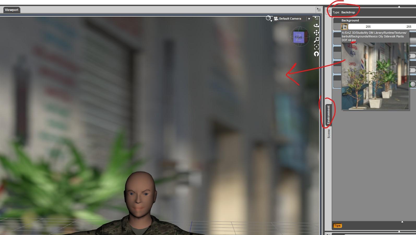 Environment. Will not load a Back Gound JPG. It is there in Render - Daz 3D Forums