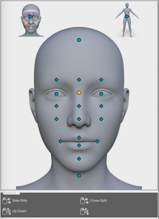 How to make my G8F's eyes look in the correct direction - Daz 3D Forums