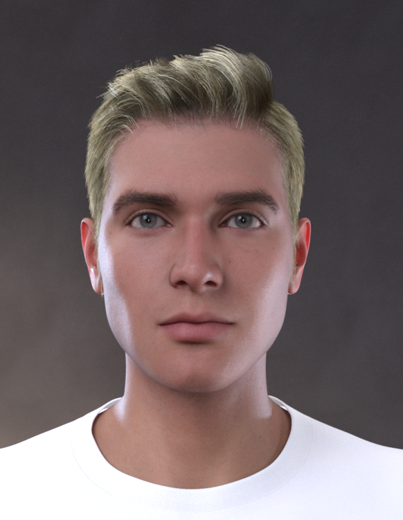 AOBB's freebie male head morph Yves G9. No materials nor textures. - Daz 3D Forums