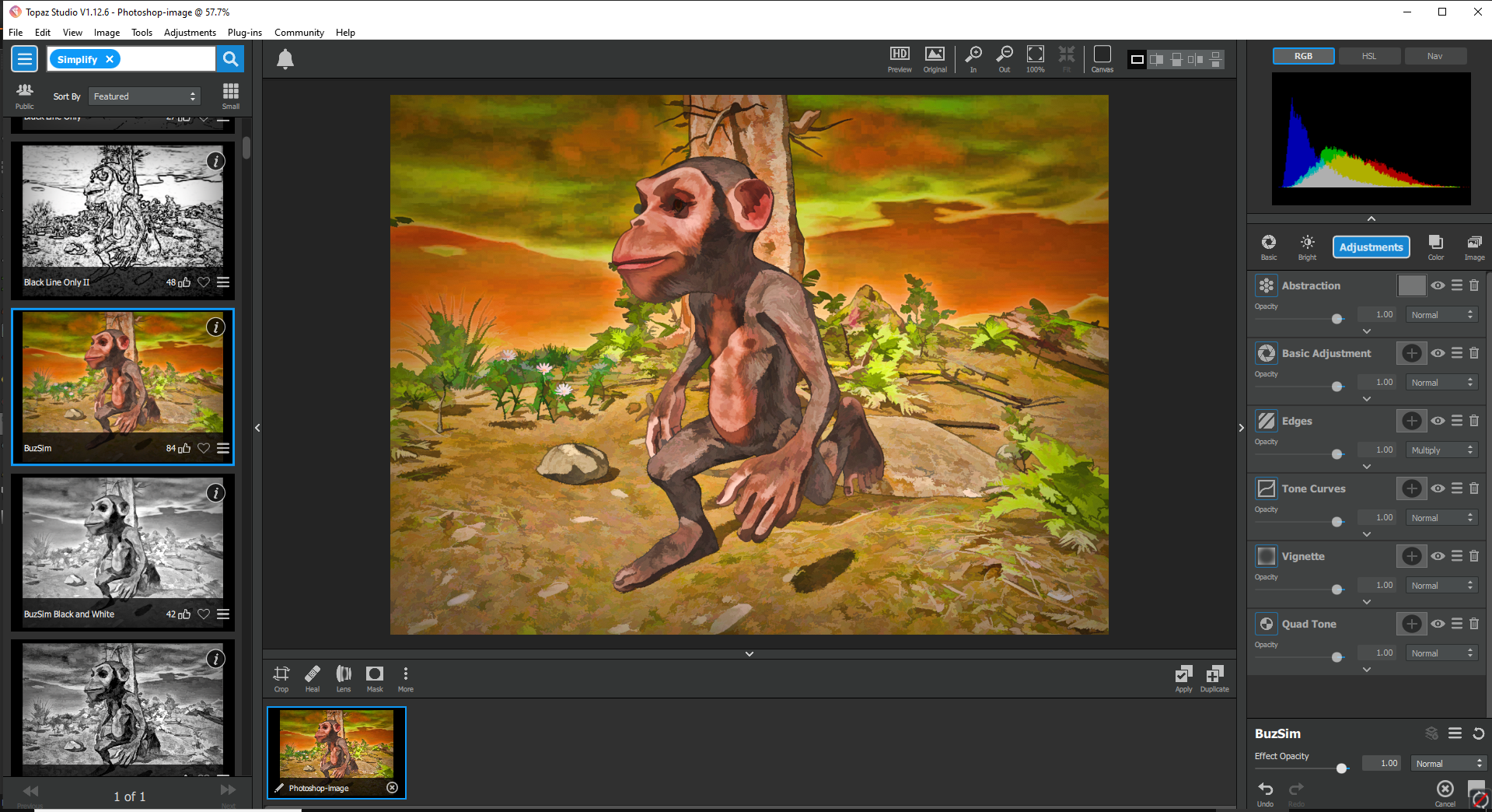 Simplify in topaz studio 2 - edgegerty