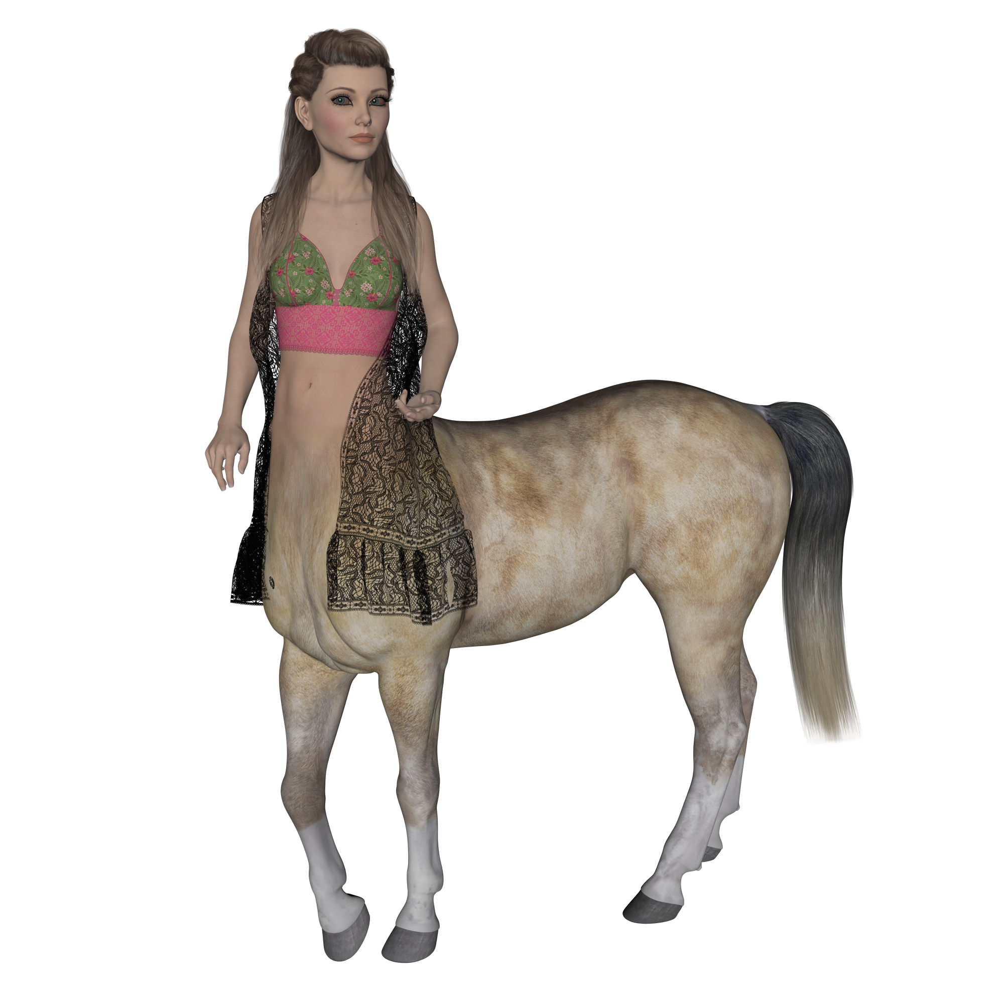 Humantaur Transformation