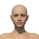 [SOLVED] Subtle Distortion of Genesis 8 and 8.1 Female Figures - Daz 3D ...