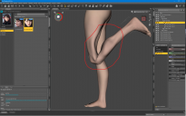 Genesis 9 Morphs - Daz 3D Forums