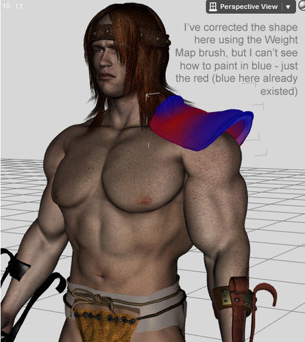 Weight Map Brush, in Paint Brush mode: How is painting in BLUE done? - Daz 3D Forums
