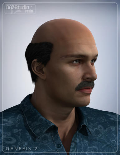 Boris Hair - Now available! (Commercial) - Daz 3D Forums