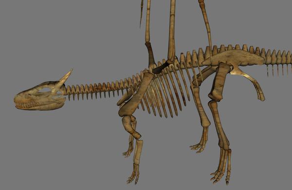 Tiling bone texture with bump and spec maps - Daz 3D Forums