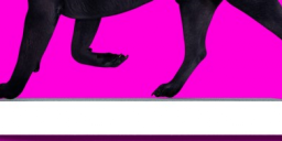 Dog poses are getting contorted - Daz 3D Forums