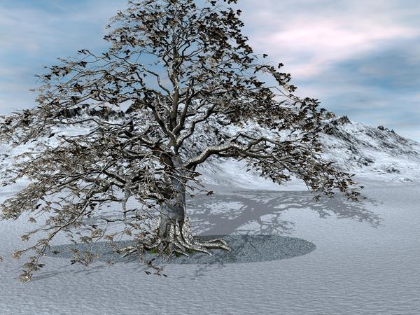 Merlin’s Oak [Commercial] - Daz 3D Forums
