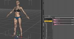 XTransfer - Genesis 3 to Genesis 8 problems - Daz 3D Forums
