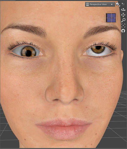 Why are G3F eyes twisting in sockets with my morphs? - Daz 3D Forums