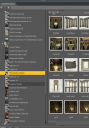 Many icons in the library are greyed out - Daz 3D Forums