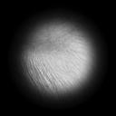 ZBrush Displacement Maps Help! - Daz 3D Forums