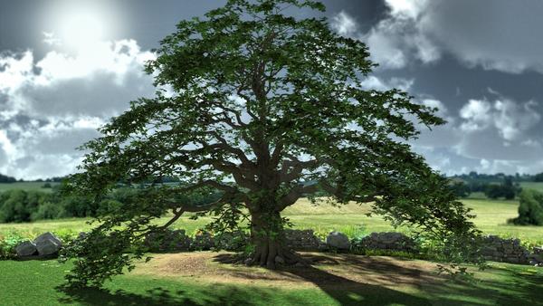 Merlin’s Oak [Commercial] - Daz 3D Forums