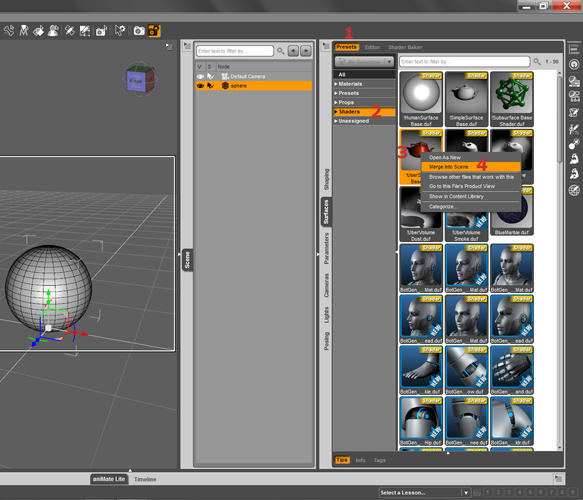 shader definition - Daz 3D Forums